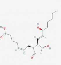 Thuốc tác động trên tử cung Dinoprostone | Pharmog