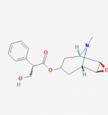 Thuốc chống co thắt Hyoscine butylbromide | Pharmog