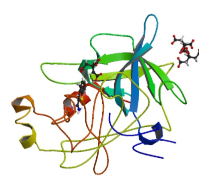 Thông tin dược học của hoạt chất Urokinase