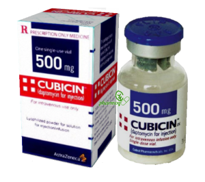 Thuốc kháng sinh tiêm truyền - Cubicin (Daptomycin)