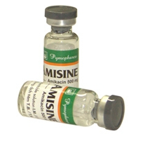 Hướng dẫn sử dụng thuốc kháng sinh - Amisine (Amikacin)