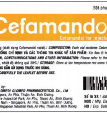 Thuốc Cefamandole - Cefamandol Glomed | Pharmog