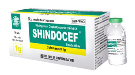Hướng dẫn sử dụng thuốc kháng sinh - Shindocef (Cefamandol)
