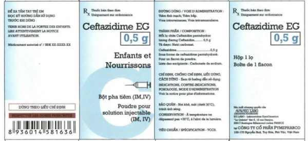 Hướng dẫn sử dụng thuốc - Alfacef, Cefzidimstad, Ceftazidime EG