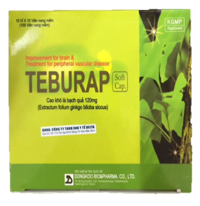 Thuốc cải thiện tuần hoàn máu não - Teburap (Ginkgo biloba)