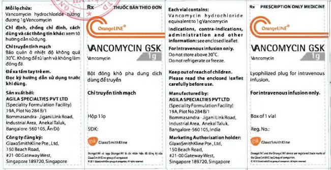 Hướng dẫn sử dụng thuốc kháng sinh - Vancomycin GSK