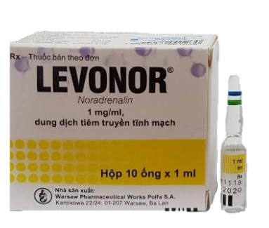 Thuốc Noradrenaline - Levonor | Pharmog