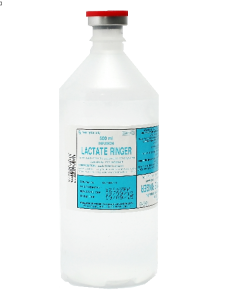 Dịch truyền - Lactate Ringer (Mekophar)