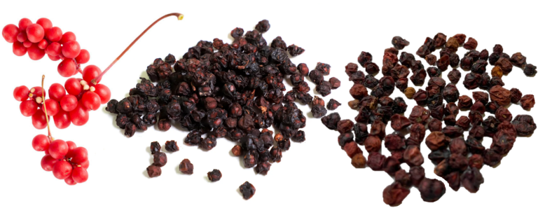 Dược liệu, vị thuốc Ngũ vị tử